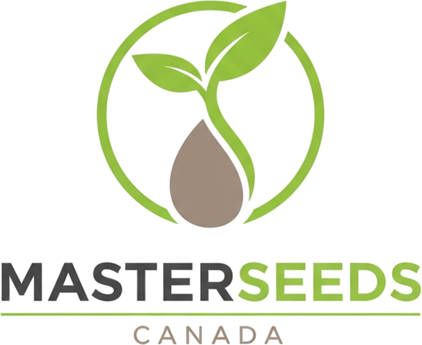 Buy Mendo Breath (Feminized) Cannabis Seeds - Master Seeds